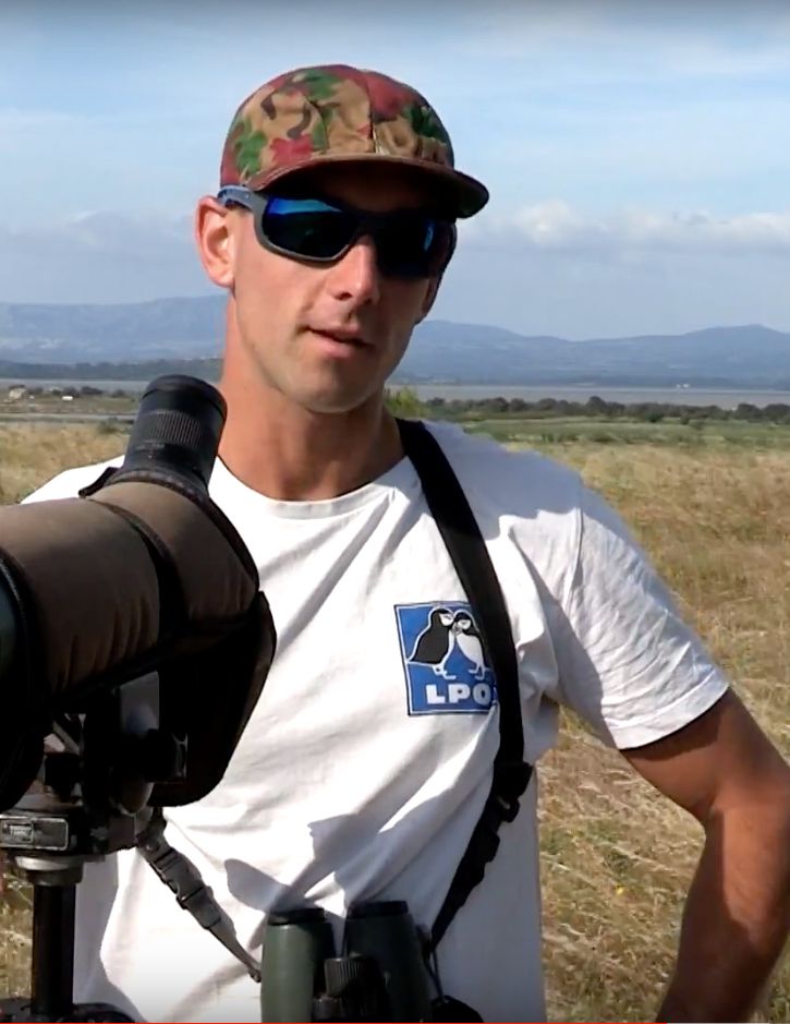 Bernache cravant : Tout savoir sur cette oie venue du froid