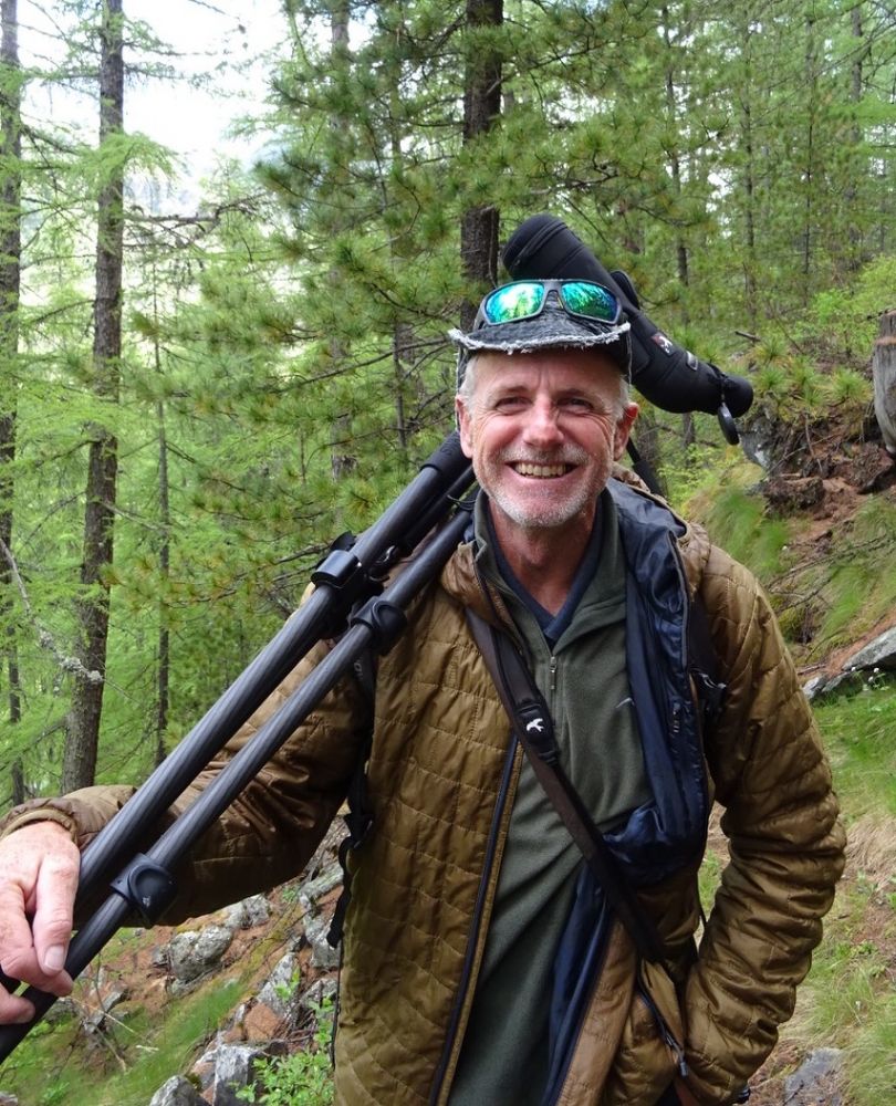 Le macareux moine, Vedette du littoral atlantique